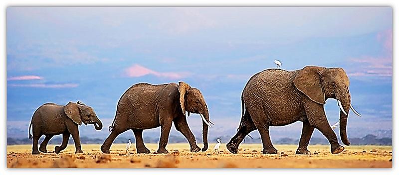 Psalm 8:5 - Groot, Groter, Grootste | Christelike Media